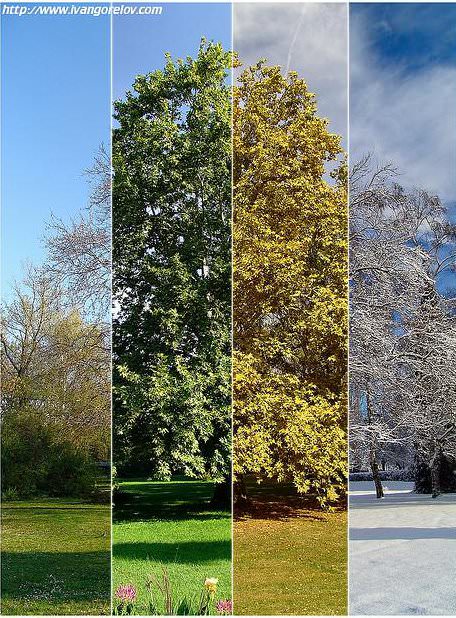 Dialog cu cele 4 anotimpuri - UrbanKid.ro - E fun să fii părinte!