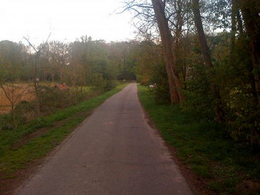 Vacanța de vară petrecută la bunici - UrbanKid.ro - E fun să fii părinte!